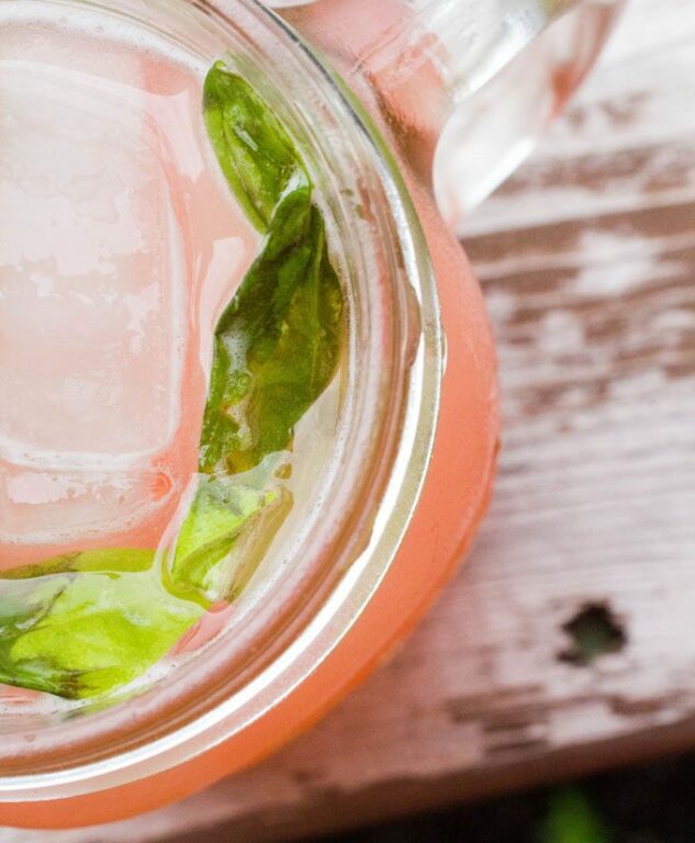 Coconut Rhubarb Basil Cocktail – Daily Dish Recipes