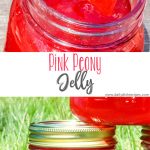 Pink Peony Jelly | Daily Dish Recipes