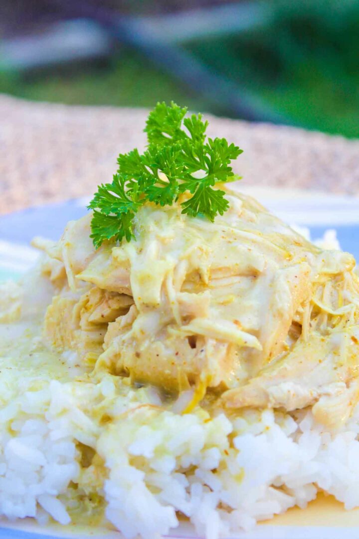 Crock-Pot Chicken Curry | Easy, delicious & the perfect easy meal!